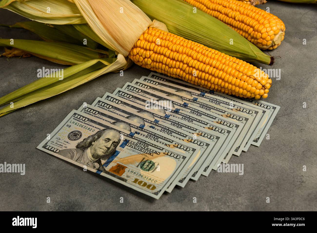 Corn seed trade, agricultural business concept Stock Photo - Alamy