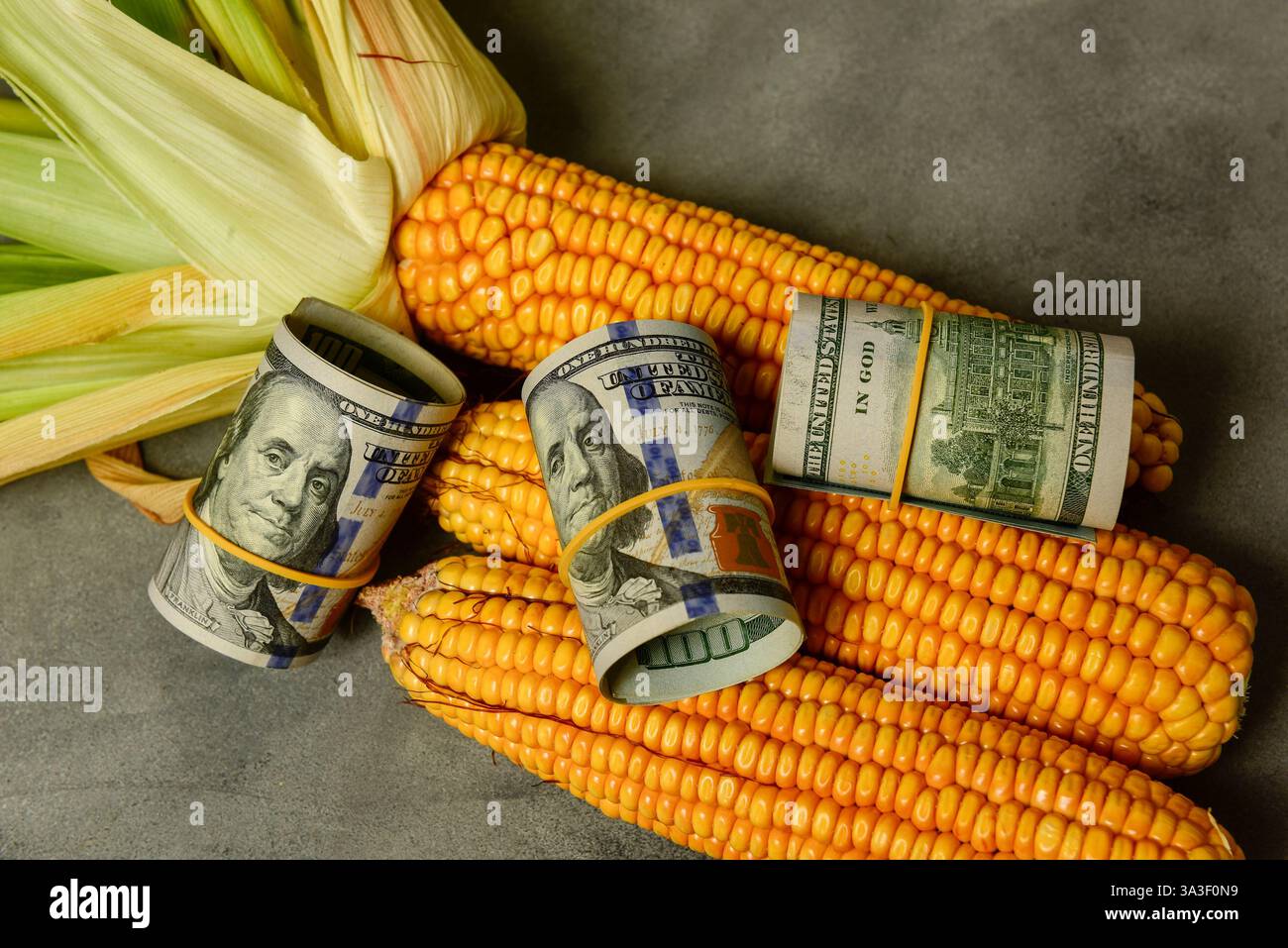 Corn seed trade, agricultural business concept Stock Photo - Alamy