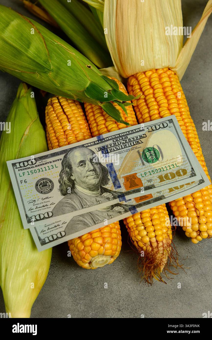 Corn seed trade, agricultural business concept Stock Photo - Alamy