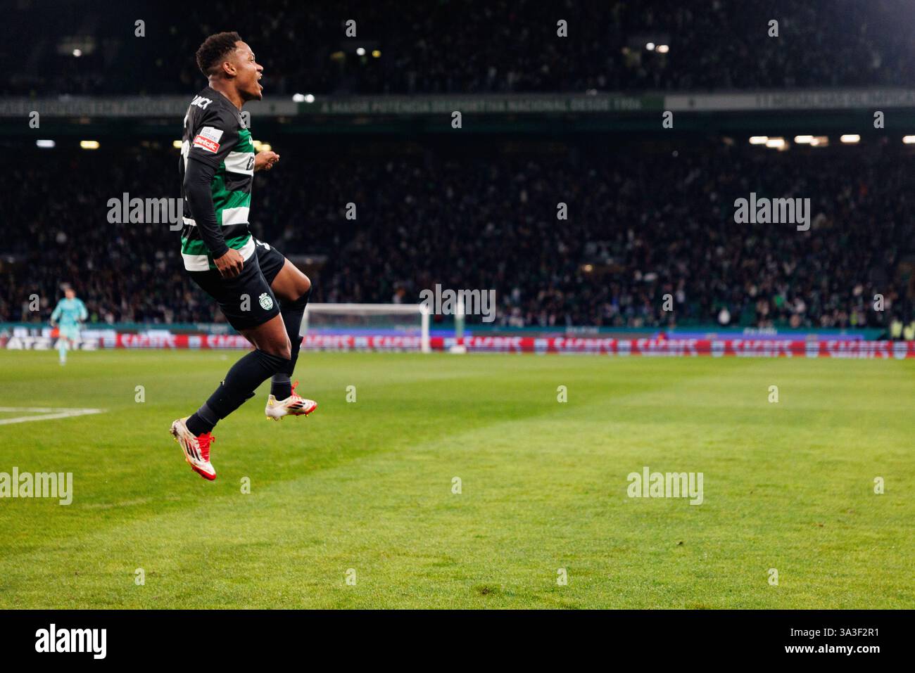 Lisbon, Portugal. 15th Mar 2025. Geny Catamo (Sporting CP) seen ...