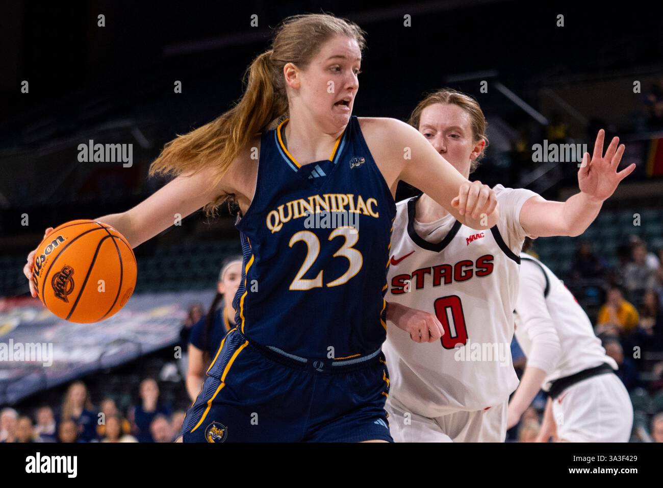 Quinnipiac's Anna Foley, left, in action against Fairfield's Jillian ...