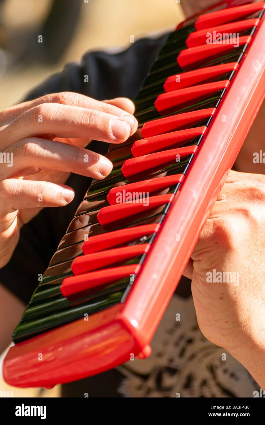fingers of a musician playing a melodic flute, music education ...