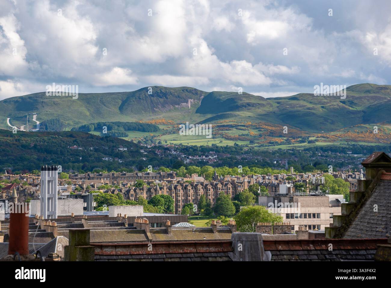 Pentland hawk hi-res stock photography and images - Alamy