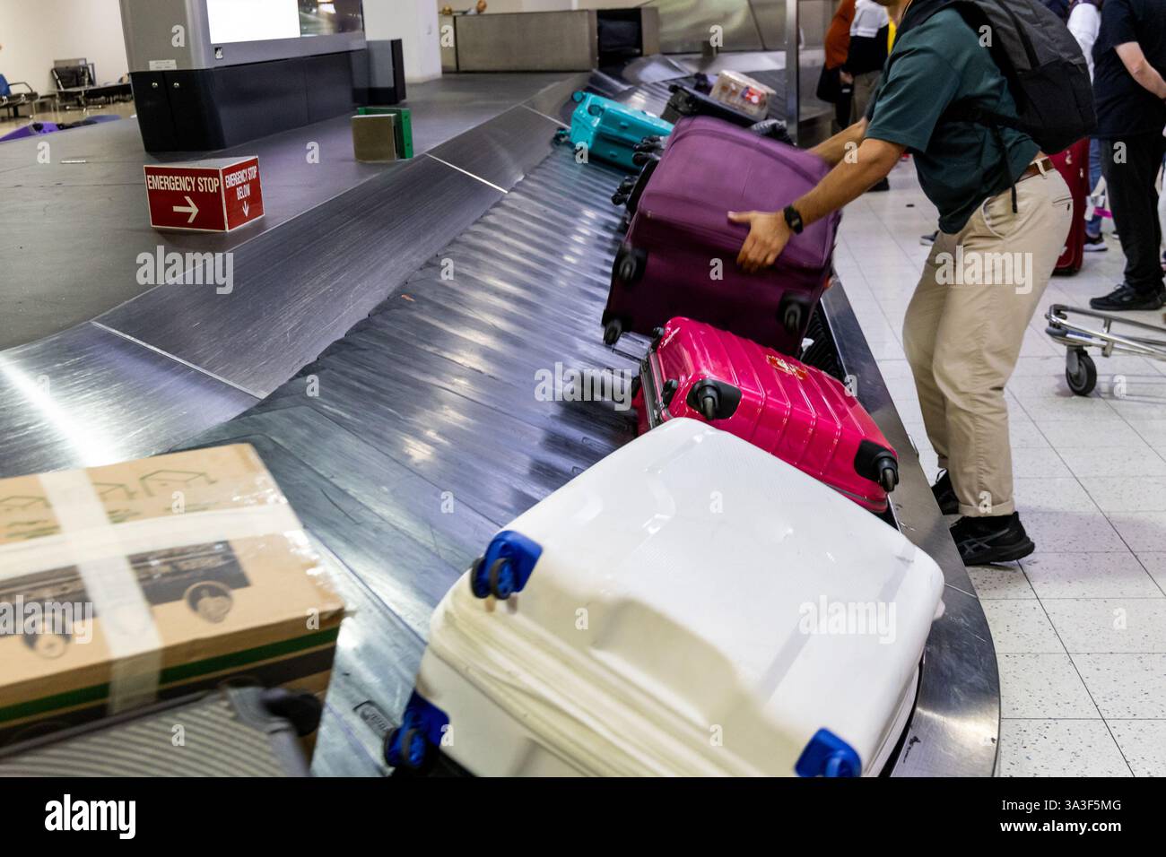 Traveler collecting luggage from the airport terminal carousel conveyer ...