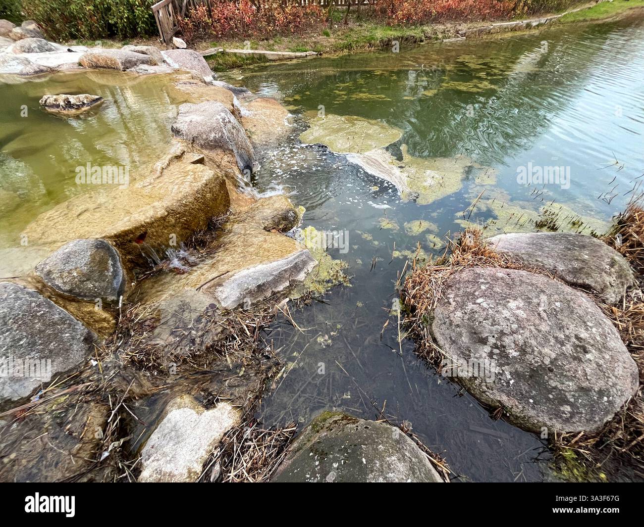 Water pollution at artificial lake in Istanbul, Turkey Stock Photo - Alamy