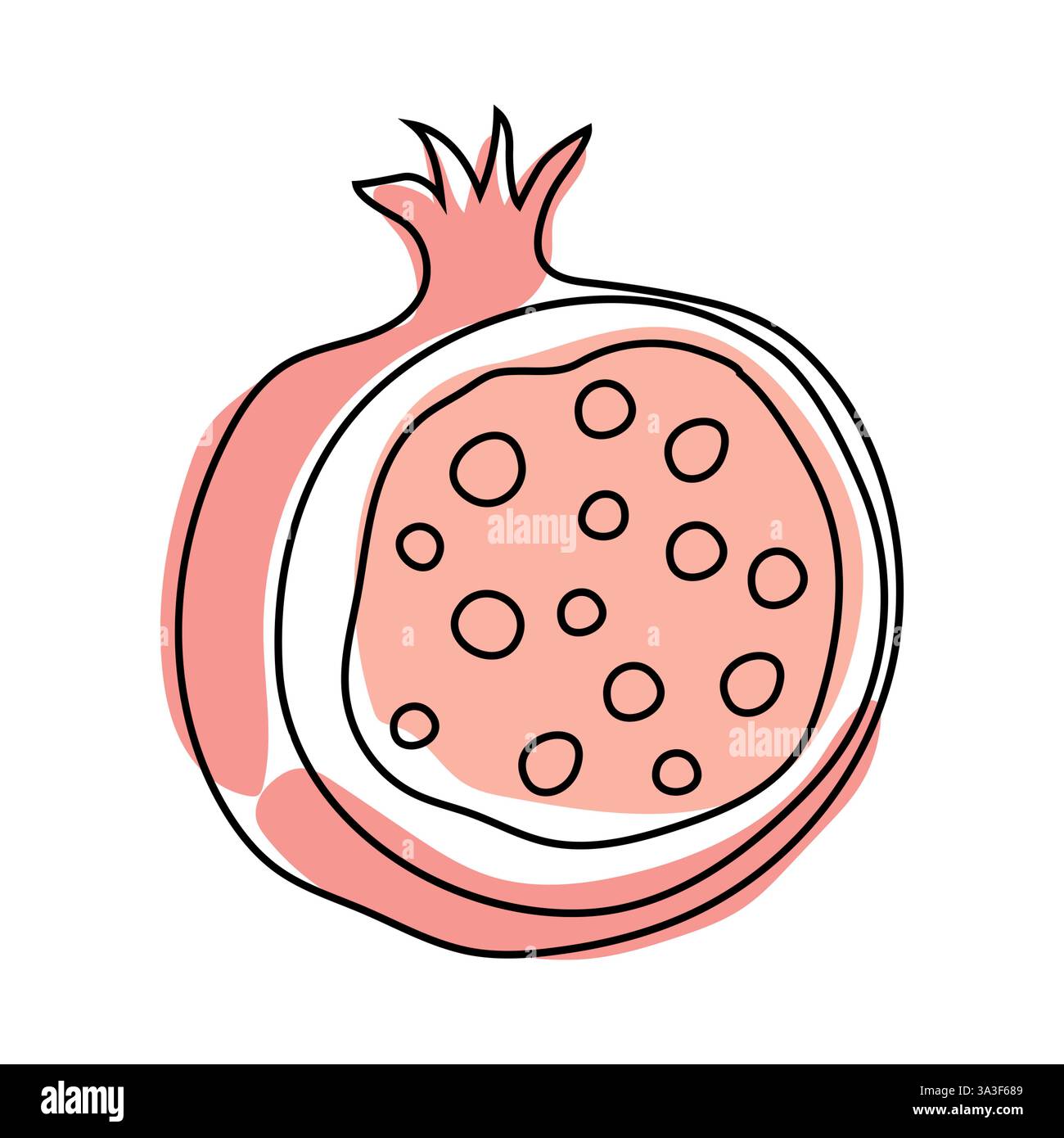 Pomegranate fruit illustration showcasing its unique shape and seed ...