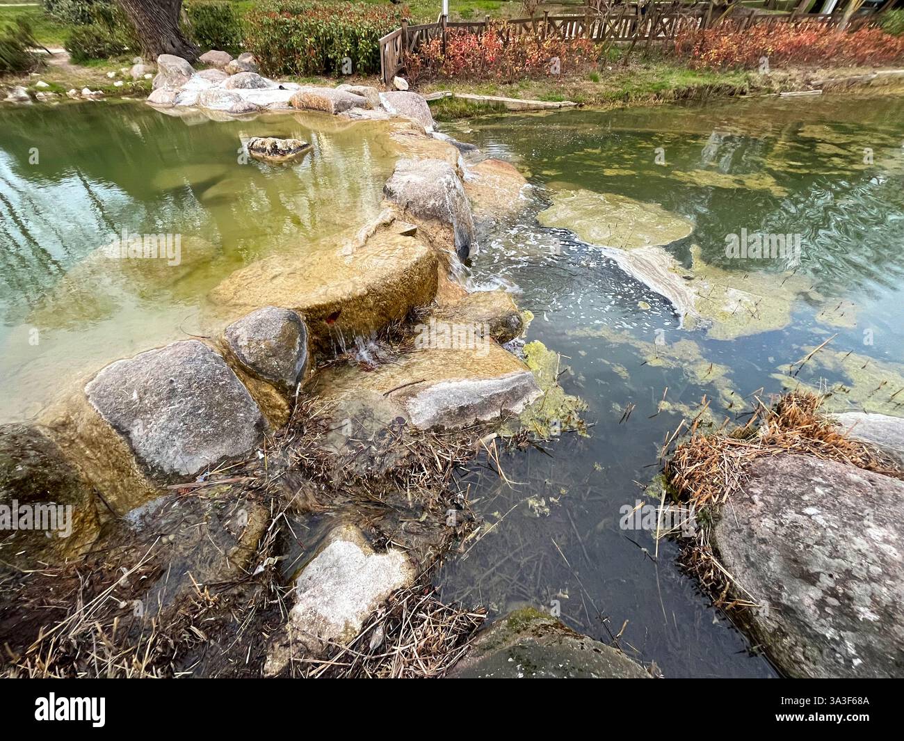 Water pollution at artificial lake in Istanbul, Turkey Stock Photo - Alamy