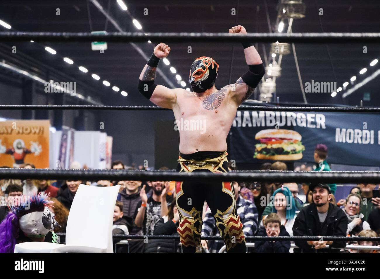 Milan, Italy. 15th Mar, 2025. Erba, Como Fun event, comics and pop ...