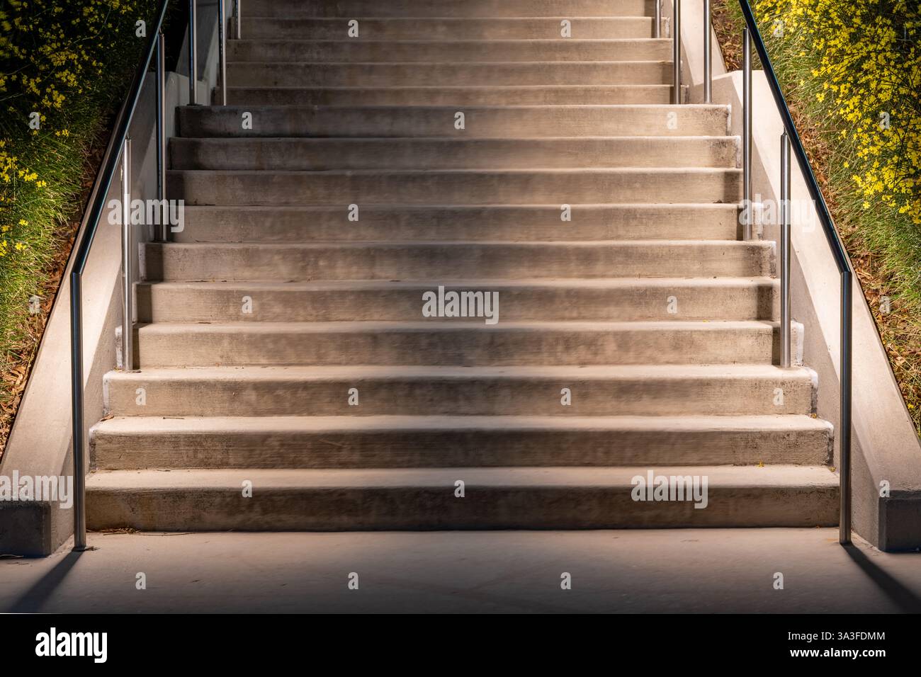 Exterior night photo of a set of concrete stairs with stainless steel ...