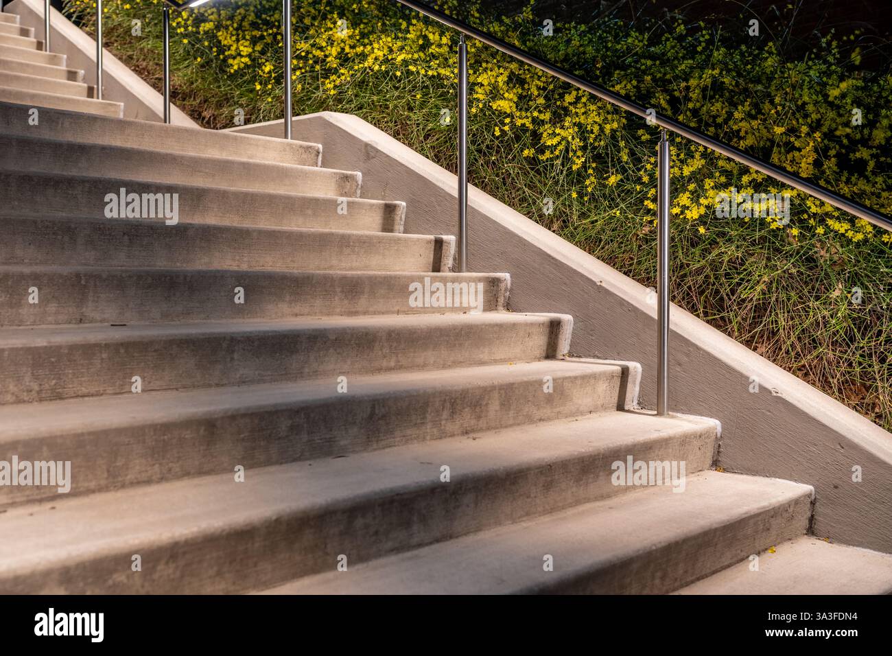 Exterior night photo of a set of concrete stairs with stainless steel ...