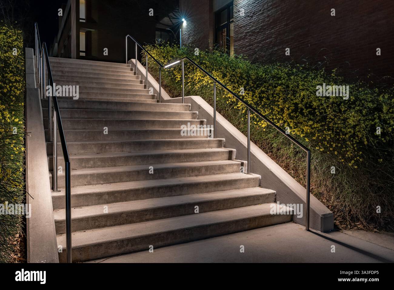 Exterior night photo of a set of concrete stairs with stainless steel ...