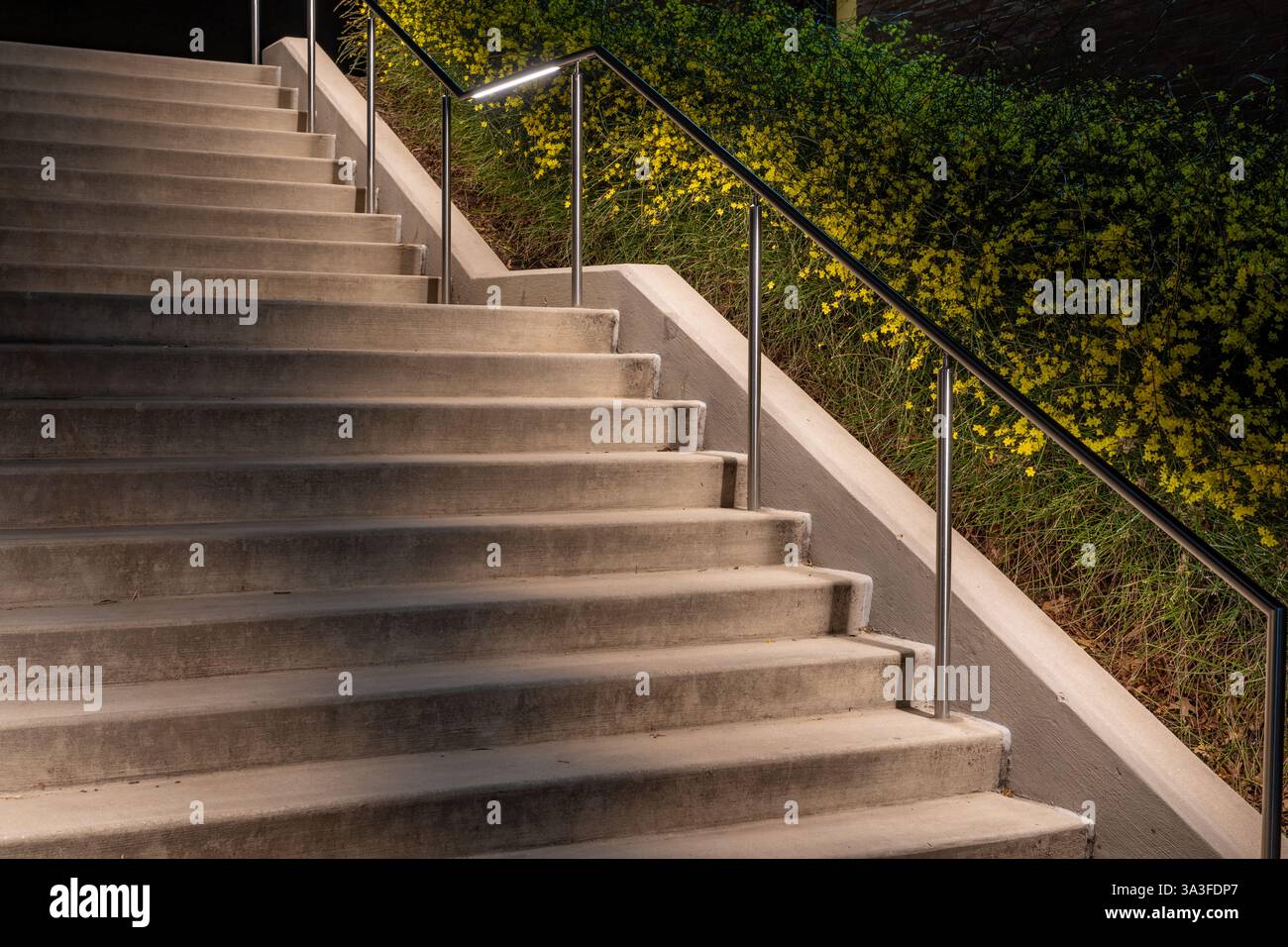 Exterior night photo of a set of concrete stairs with stainless steel ...