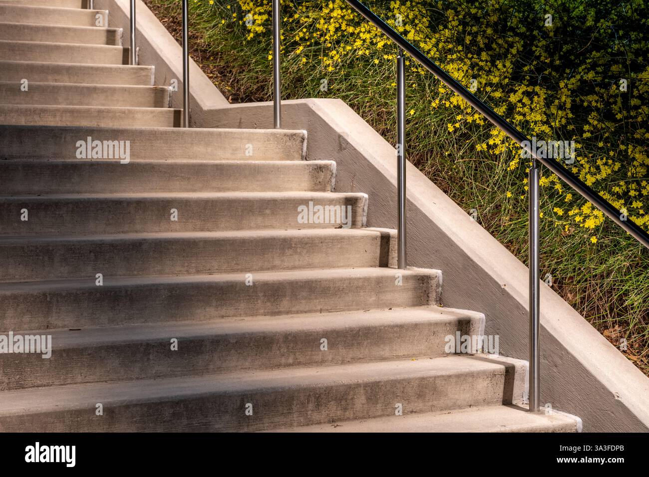 Exterior night photo of a set of concrete stairs with stainless steel ...