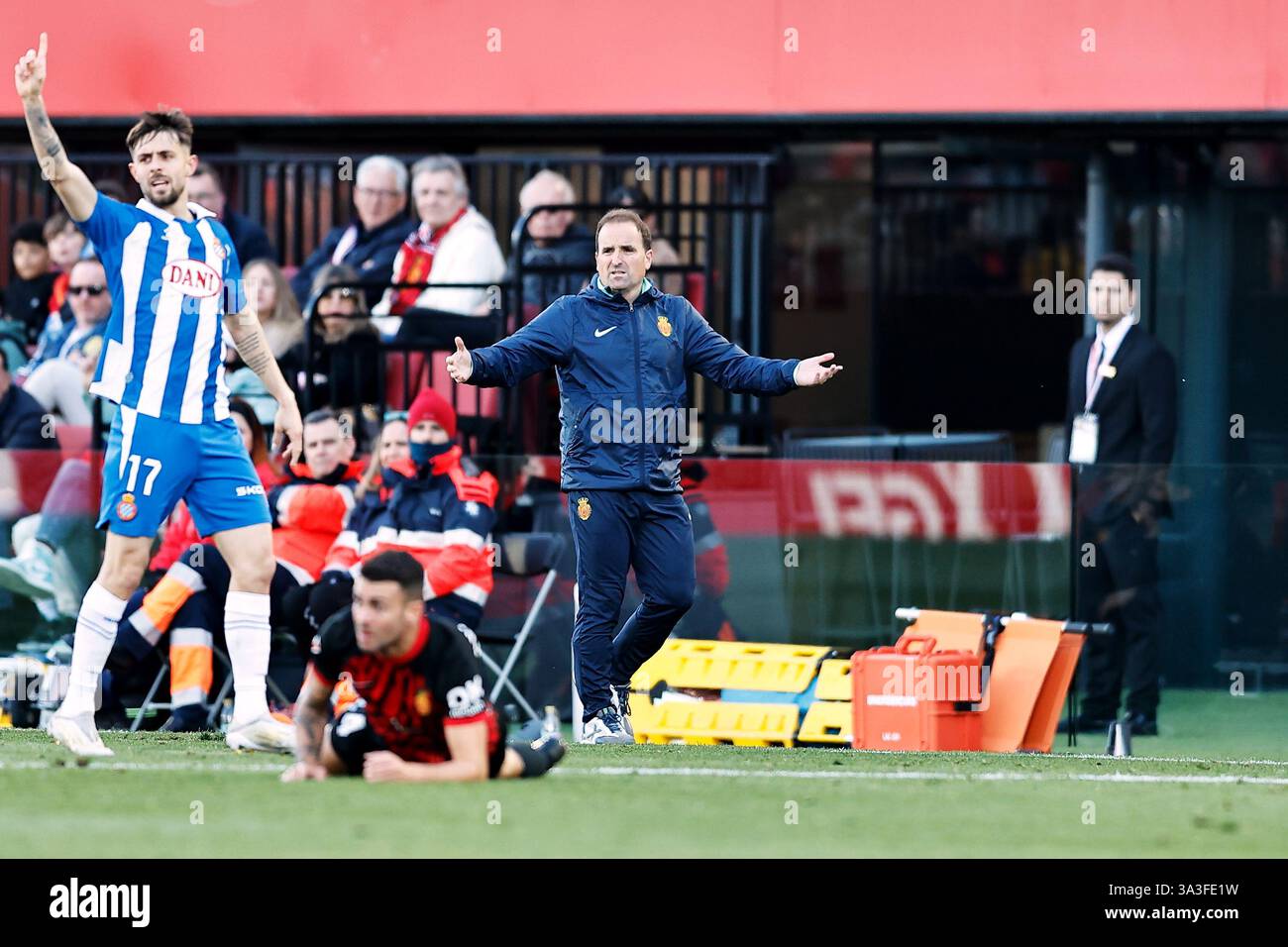 Palma de Mallorca, Spain. 15th Mar, 2025. Jagoba Arrasate (Mallorca ...