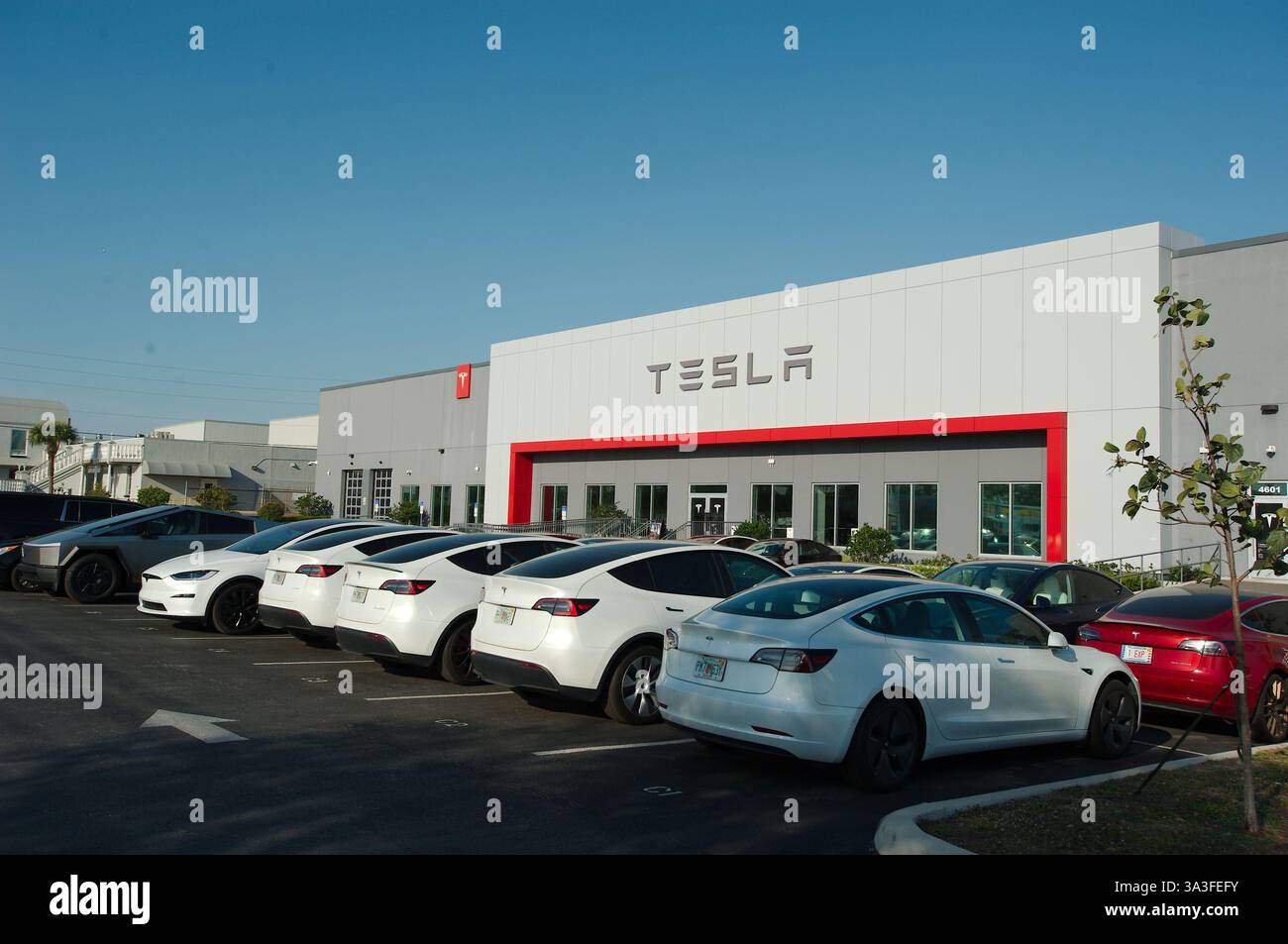 Editorial Use Only March 15, 2025. St. Petersburg, FL, USA. Tesla ...