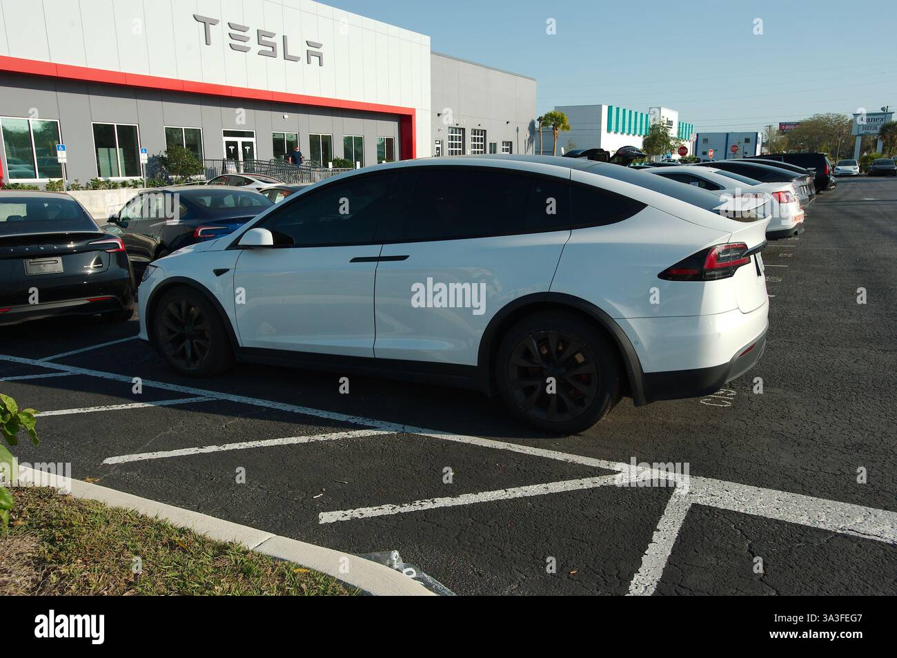 Editorial Use Only March 15, 2025. St. Petersburg, FL, USA. Tesla ...