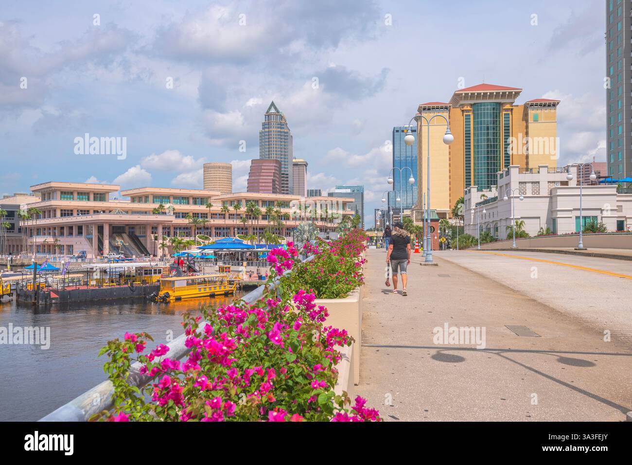 Modern high rise buildings and architectural landmarks in Tampa Florida ...