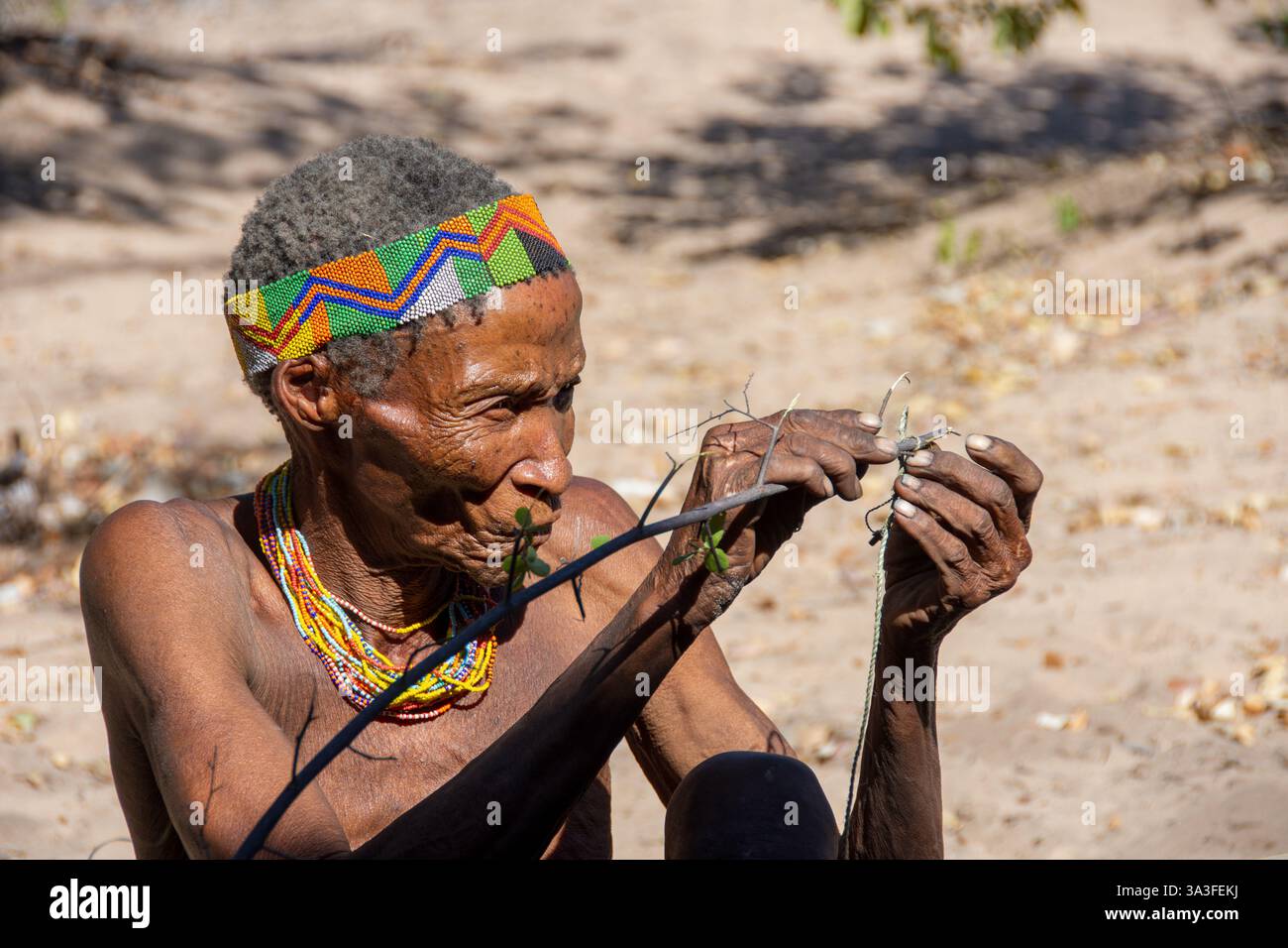 The San People, also known as Bushmen, are the oldest surviving culture ...