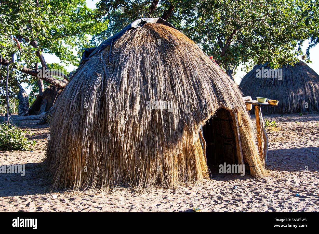 The San People, also known as Bushmen, are the oldest surviving culture ...