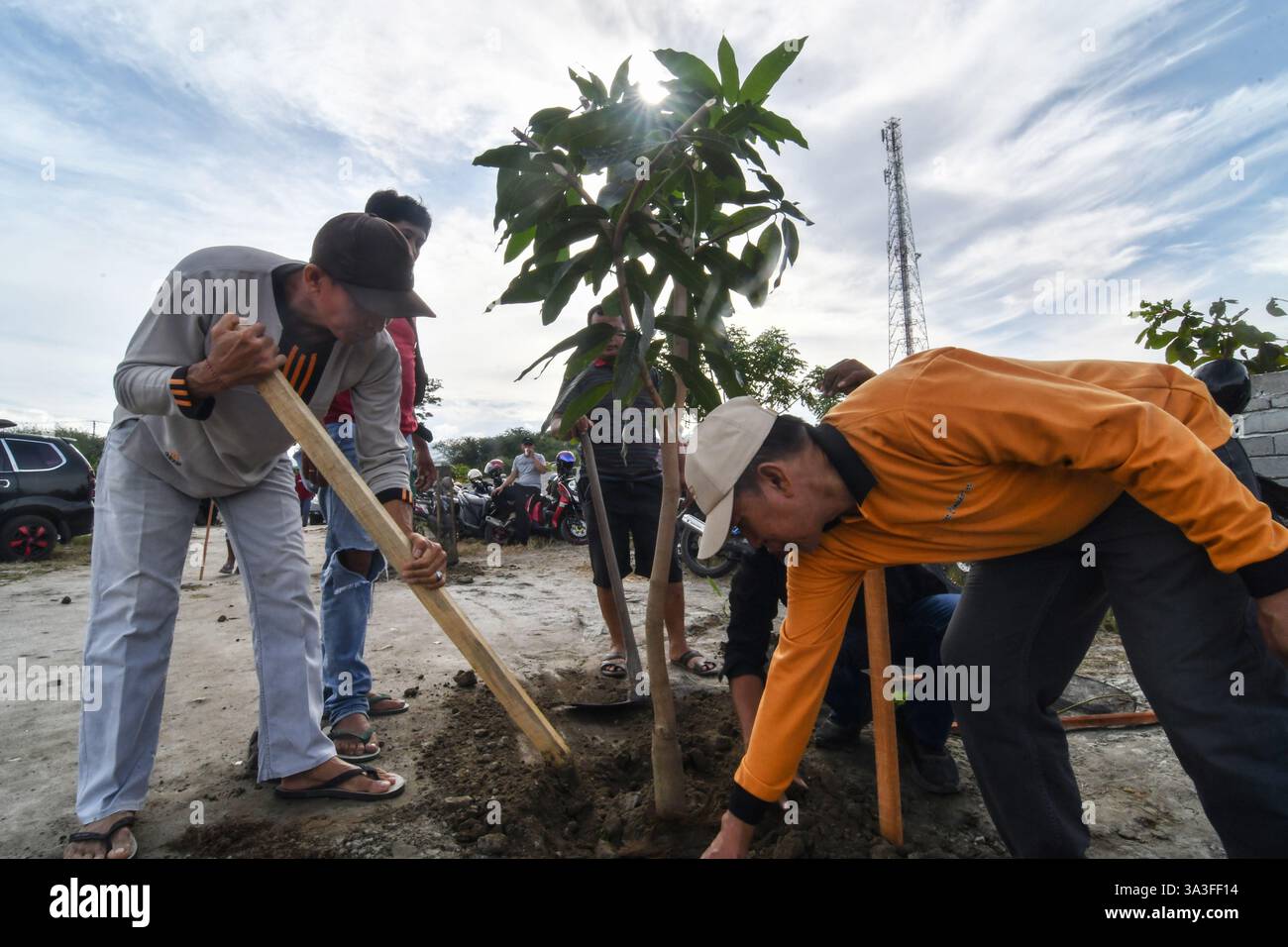 Palu, Central Sulawesi, Indonesia. 16th Mar, 2025. A number of ...