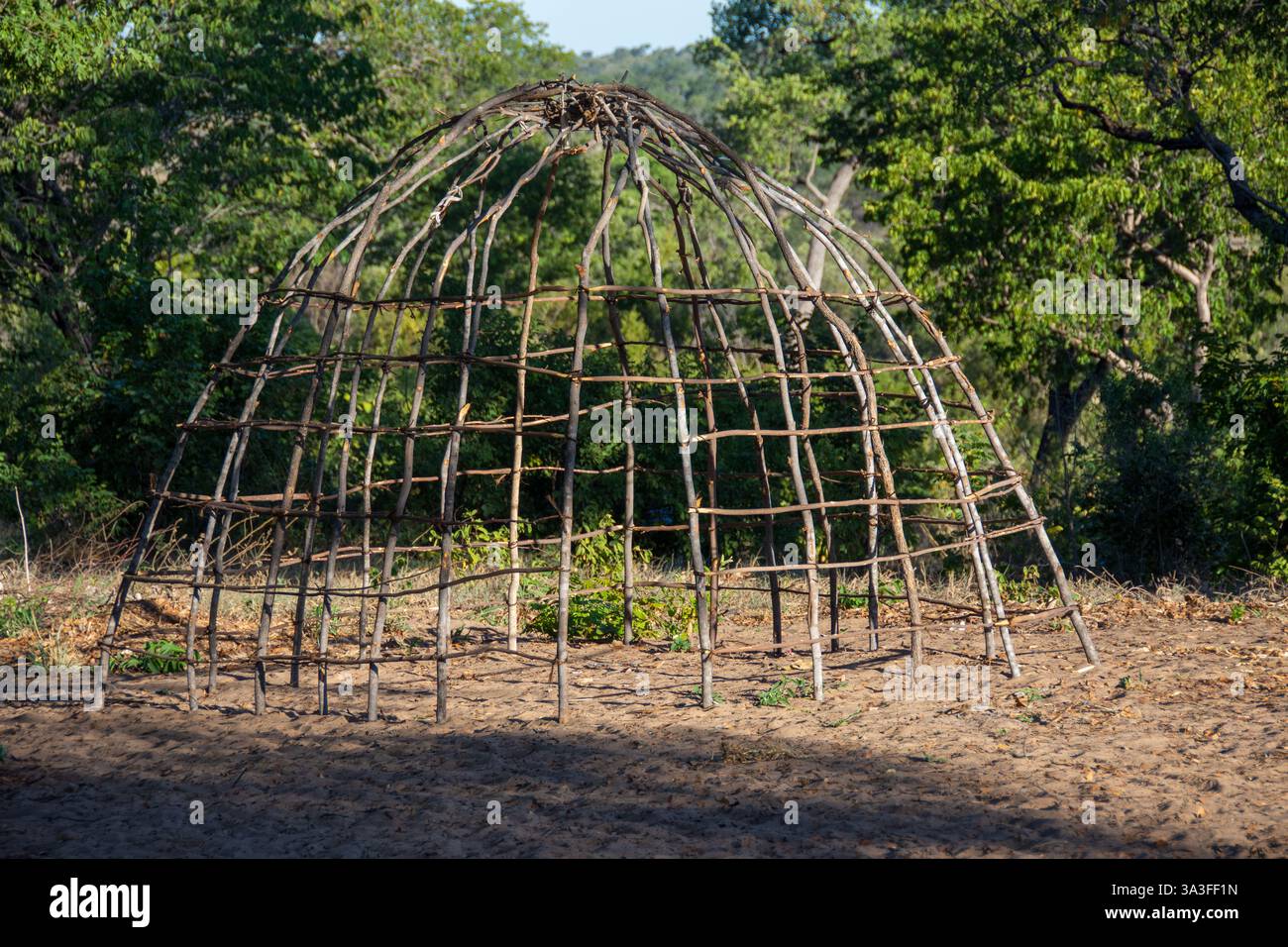 The San People, also known as Bushmen, are the oldest surviving culture ...