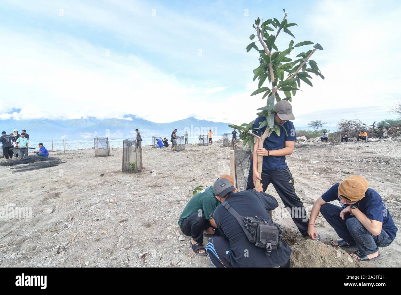 March 16, 2025, Palu, Central Sulawesi, Indonesia: A number of ...