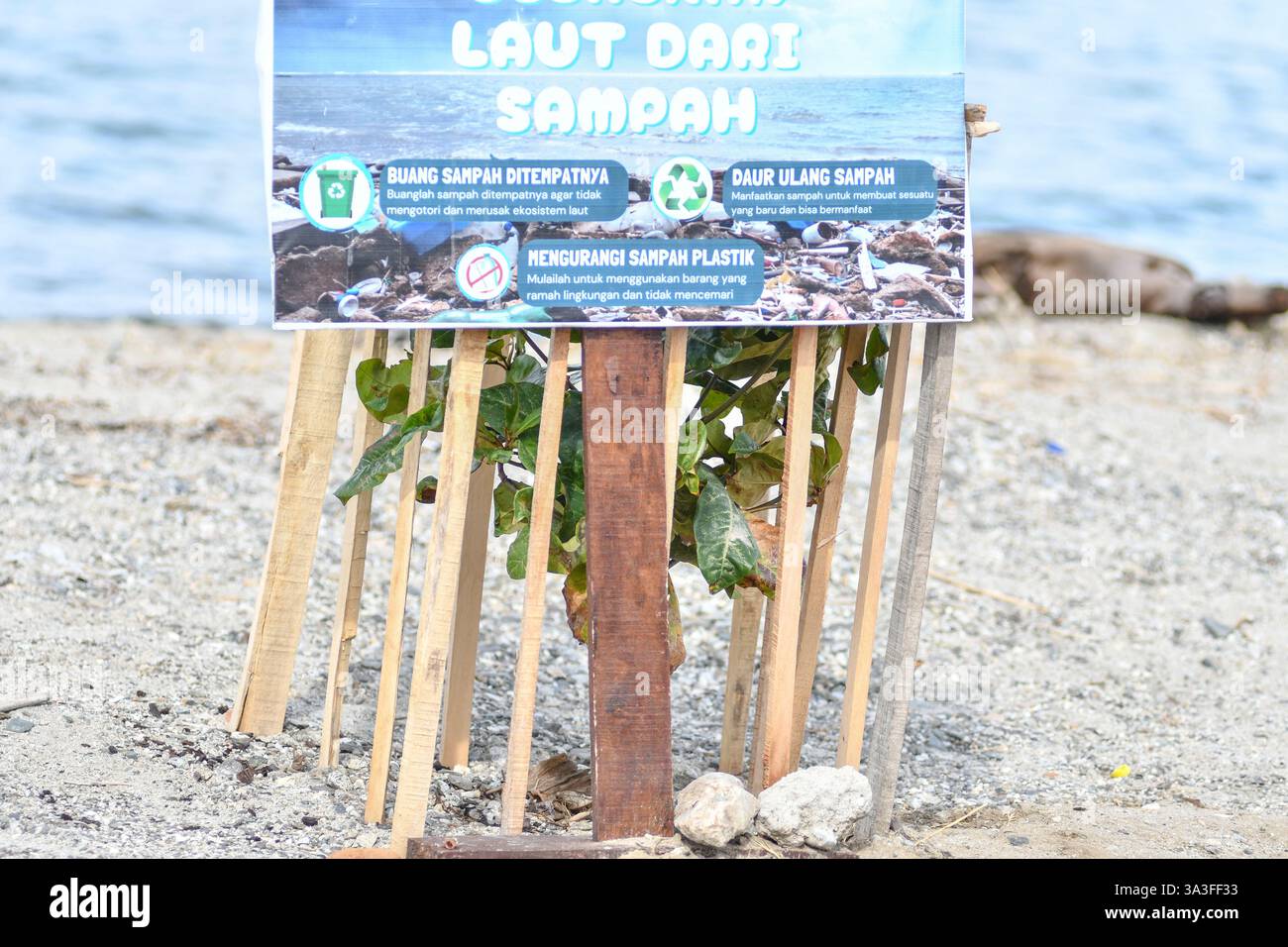 Palu, Central Sulawesi, Indonesia. 16th Mar, 2025. A number of ...