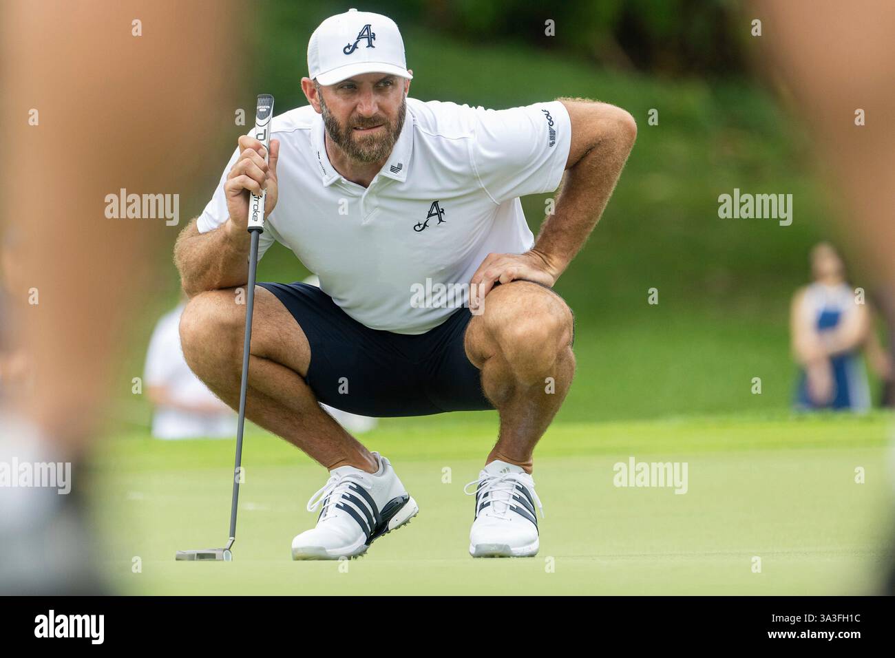 Captain Dustin Johnson of 4Aces GC reads his putt on the third green ...