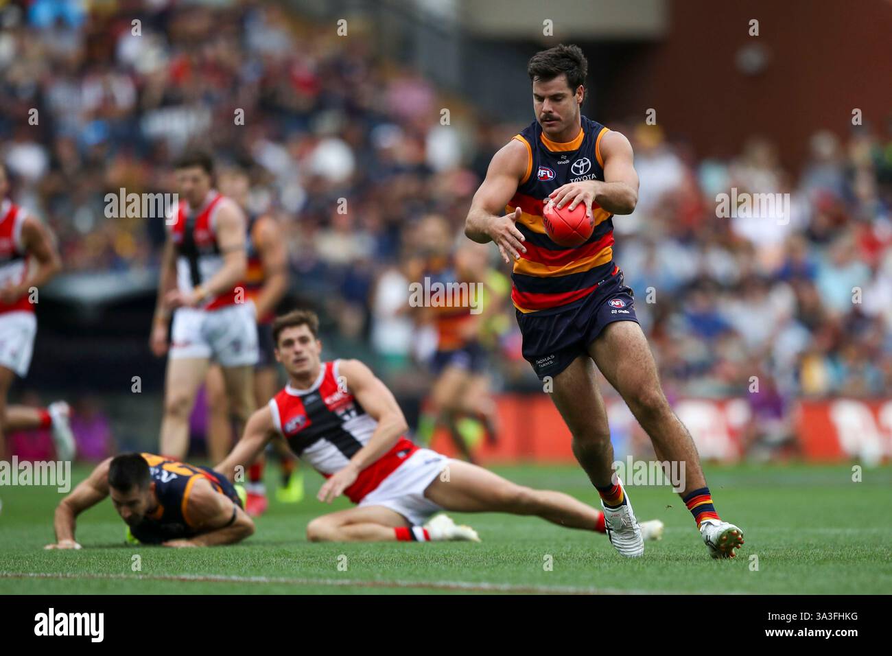 Adelaide, Australia. 16th Mar, 2025. Darcy Fogarty of the Crows during ...