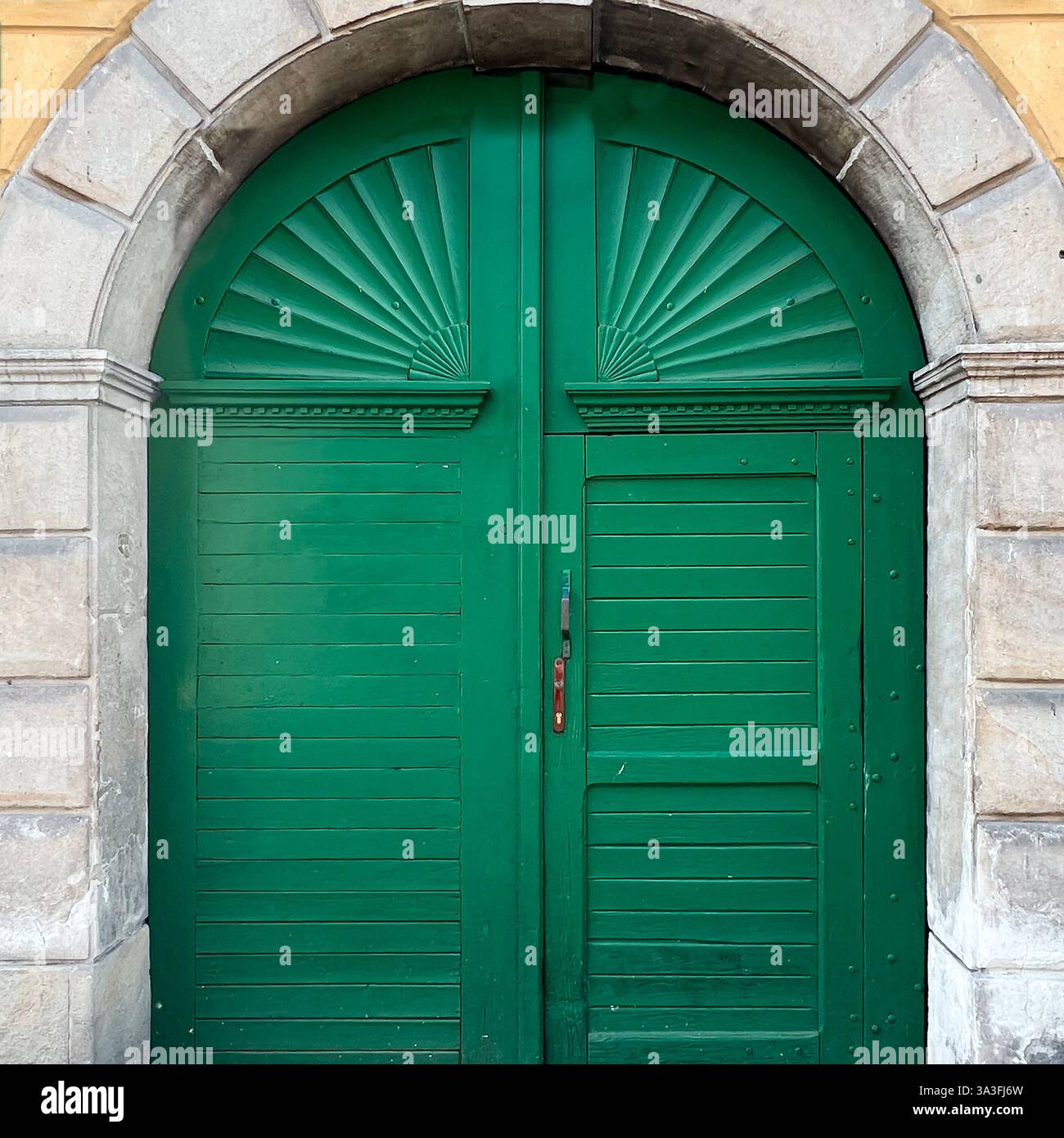 Bold green arched wooden door with fan-shaped carvings in Kraków ...