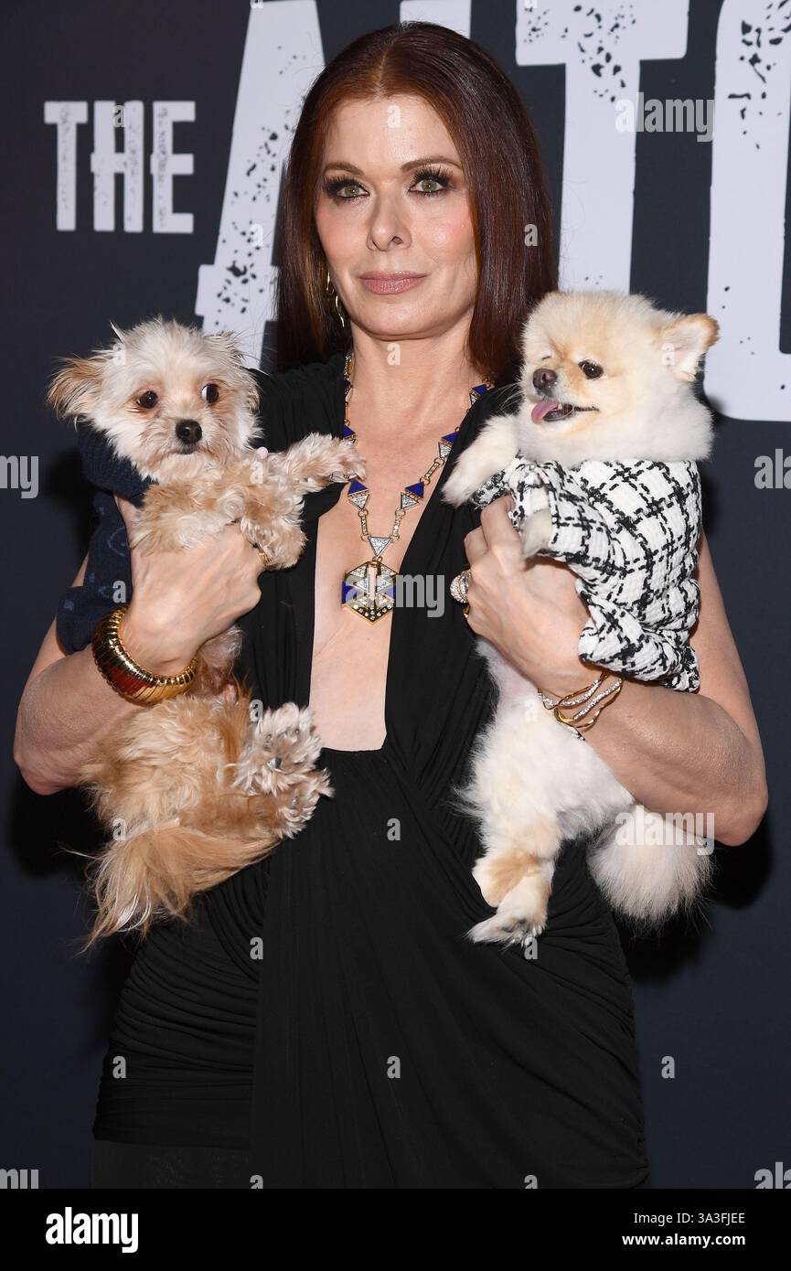 New York, USA. 15th Mar, 2025. Debra Messing attends 'The Alto Knights ...