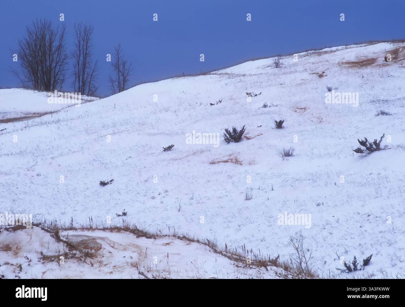 Sand dunes with sparse vegatation take on a completely different look ...