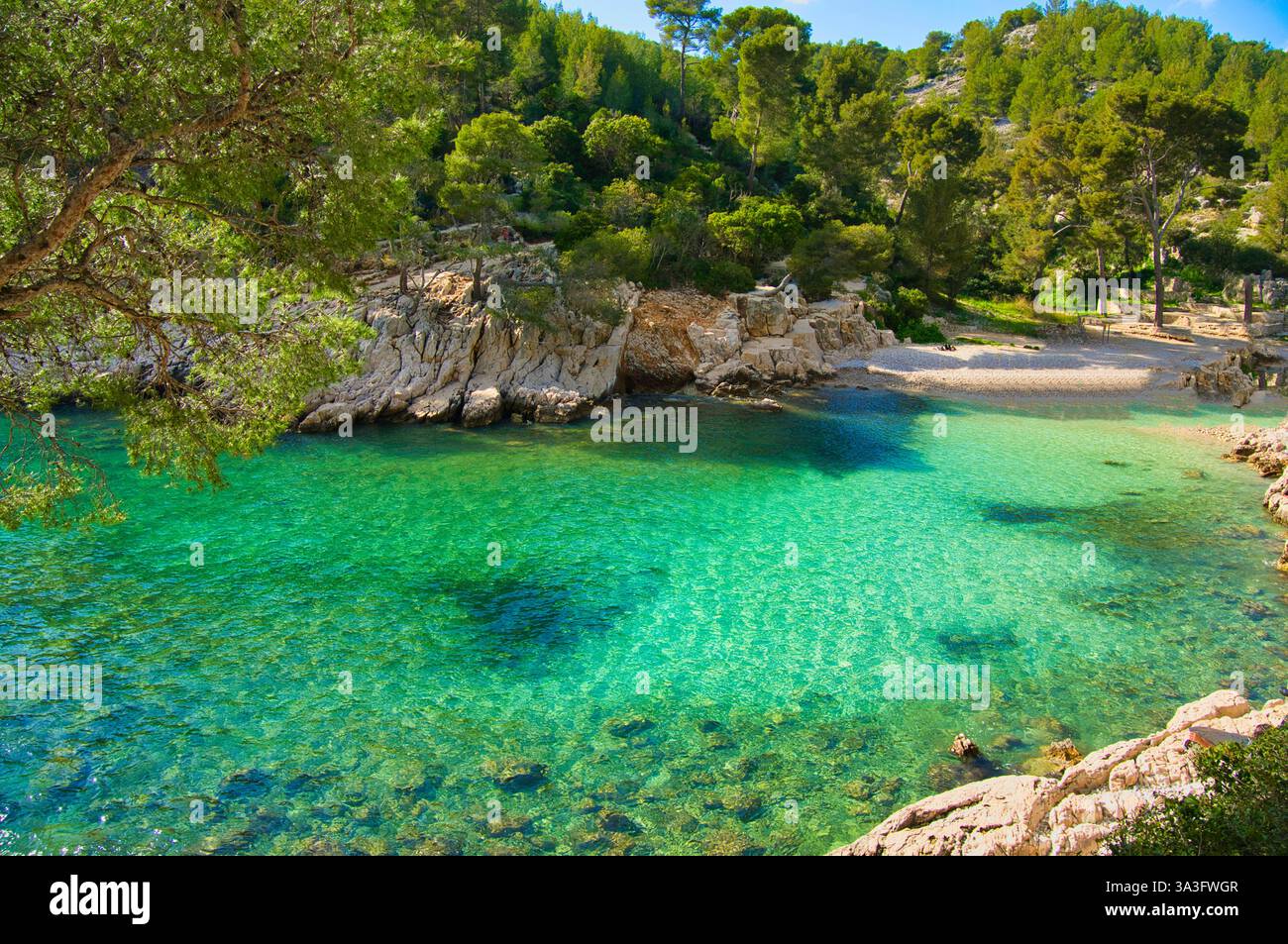 Wonderful Calanque port pin near Cassis in the South of France Stock ...