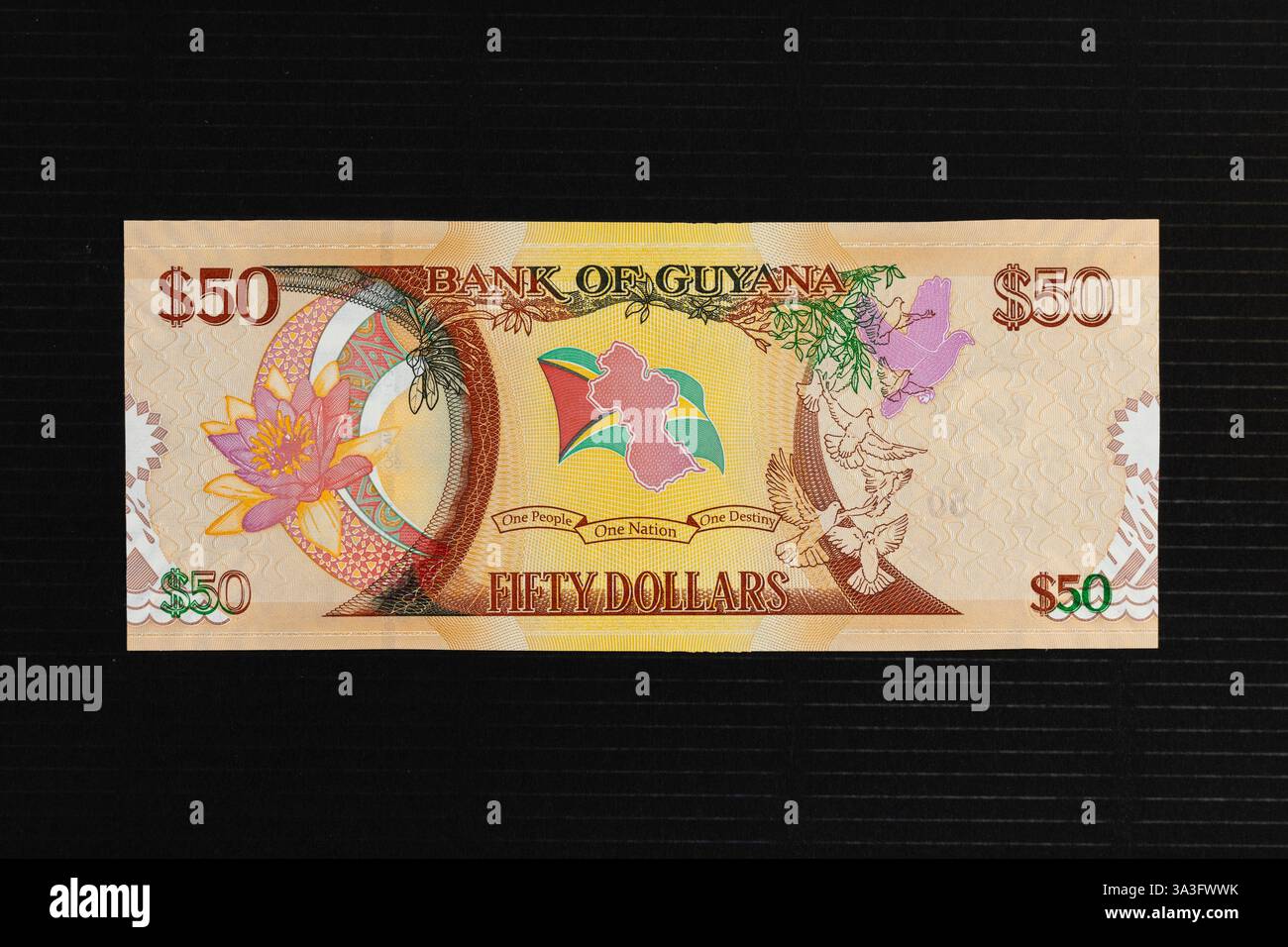 Guyana 50 Dollar Banknote Featuring National Symbols and Wildlife Stock ...