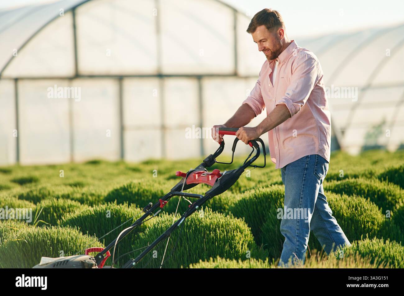 Cleaning the field by using lawn mower. Adult farmer is outdoors Stock ...