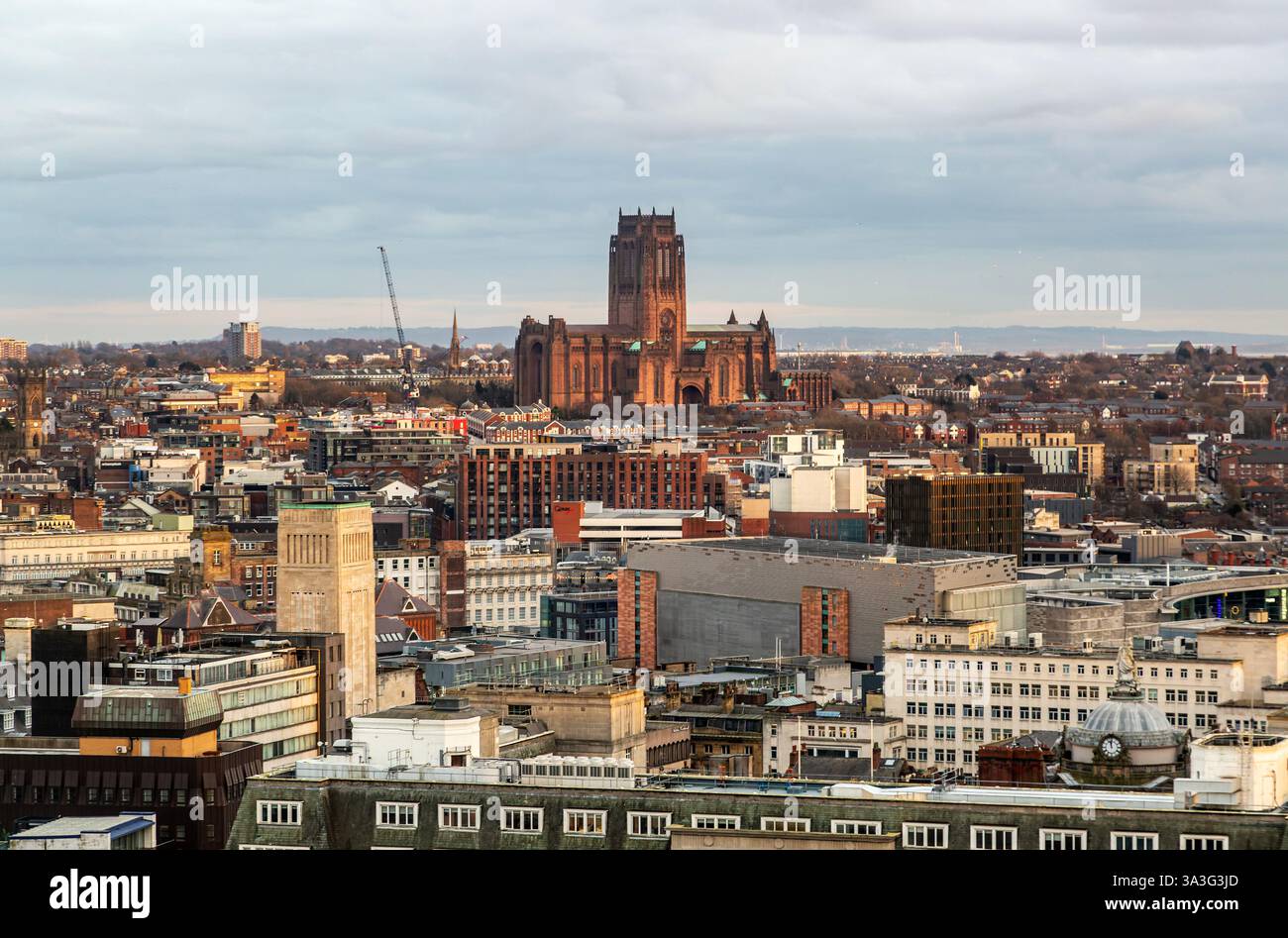 View over city centre rooftops to the Anglican cathedral, Liverpool ...