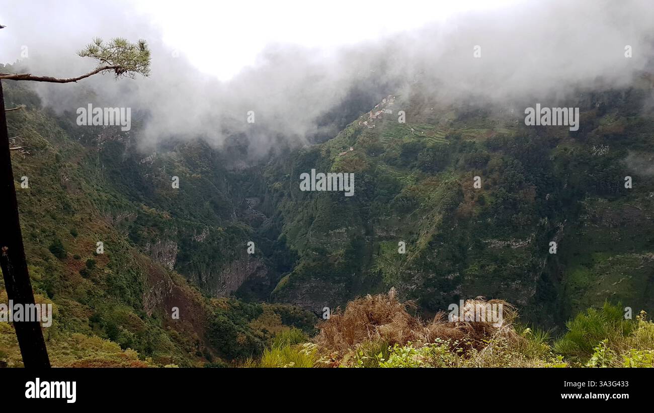 the wild nature in the valley of the nuns (Curral das Freiras) on the ...