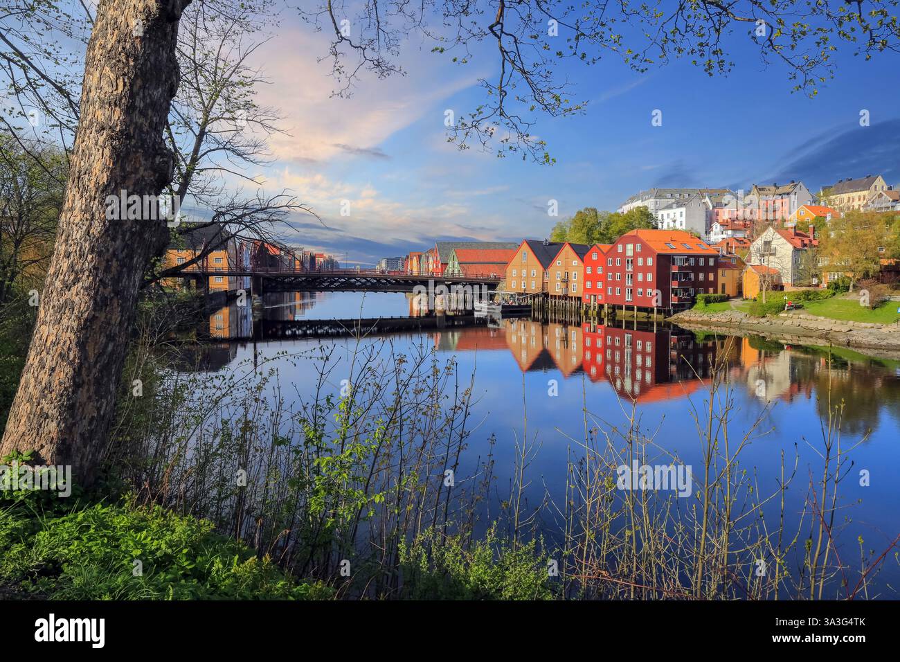 Spring in Trondheim, view of the river Nidelva and The Old bridge ( Den ...