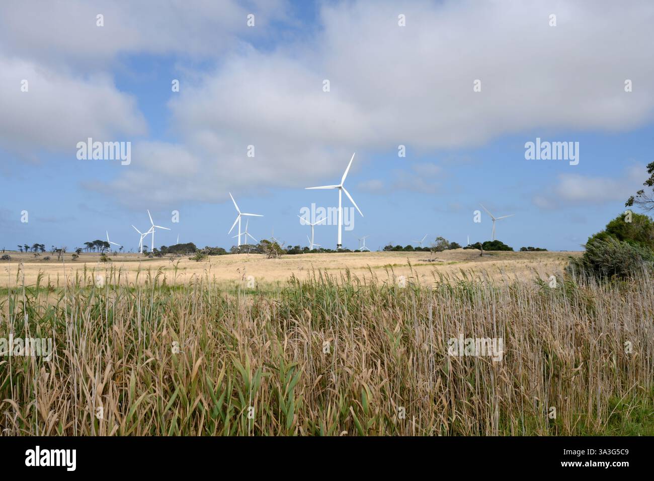 Wind turbines in south Gippsland farmland, Victoria, Australia Stock ...