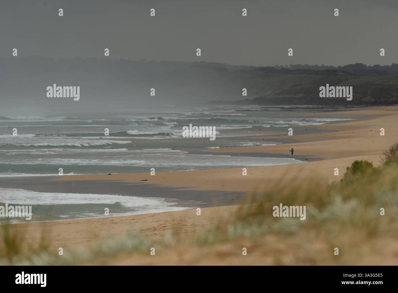Beach fishing at low tide on a Surf beach in southern Victoria ...