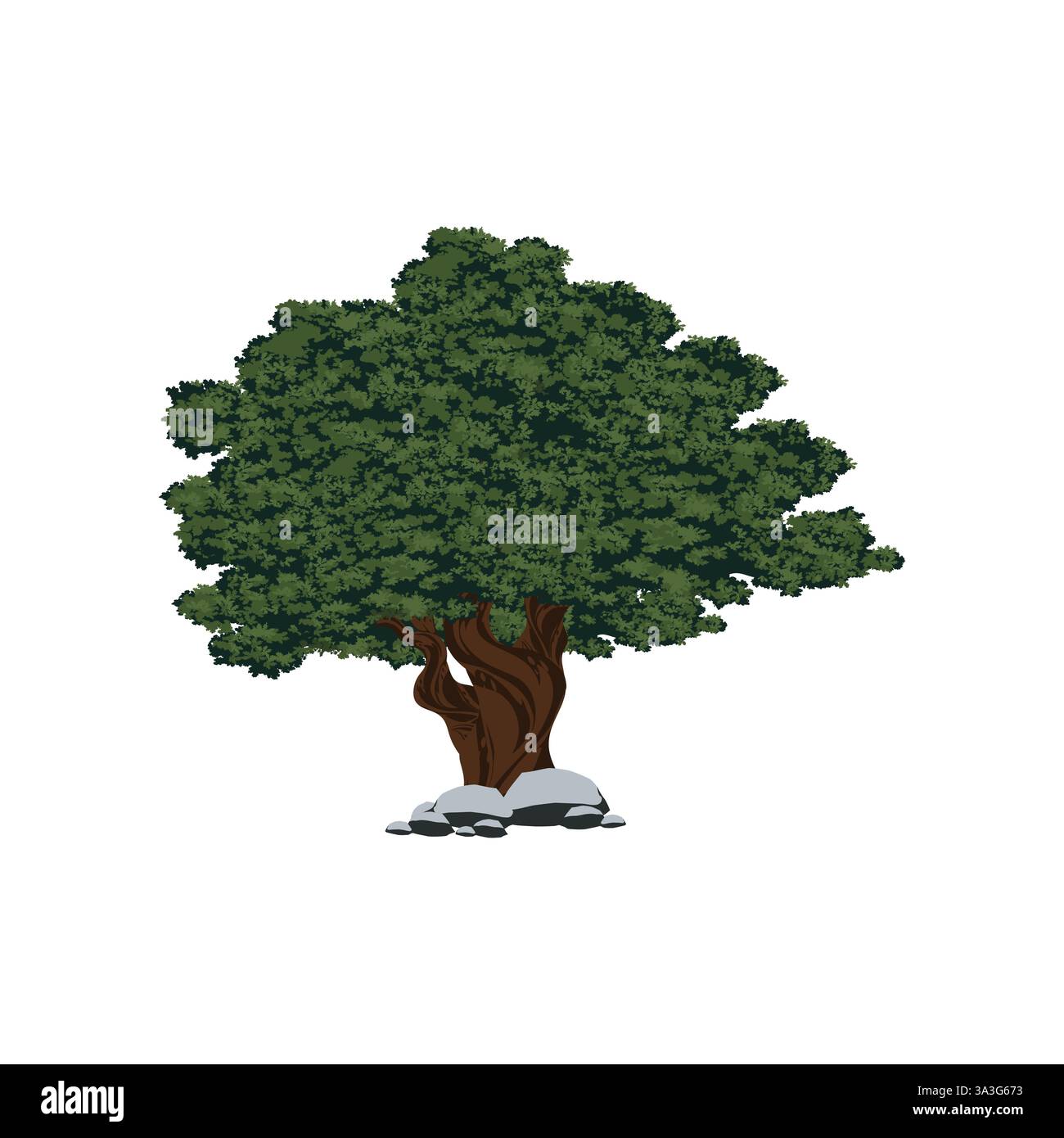 Great Oak tree for logo design Stock Vector Image & Art - Alamy