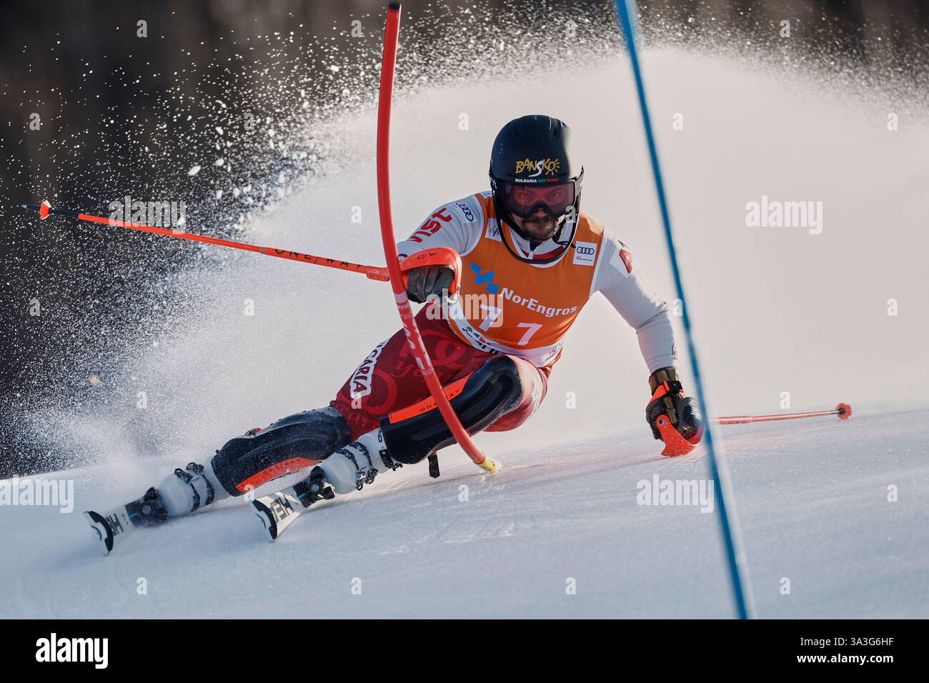 Bulgaria's Albert Popov competes in an alpine ski, men's World Cup ...