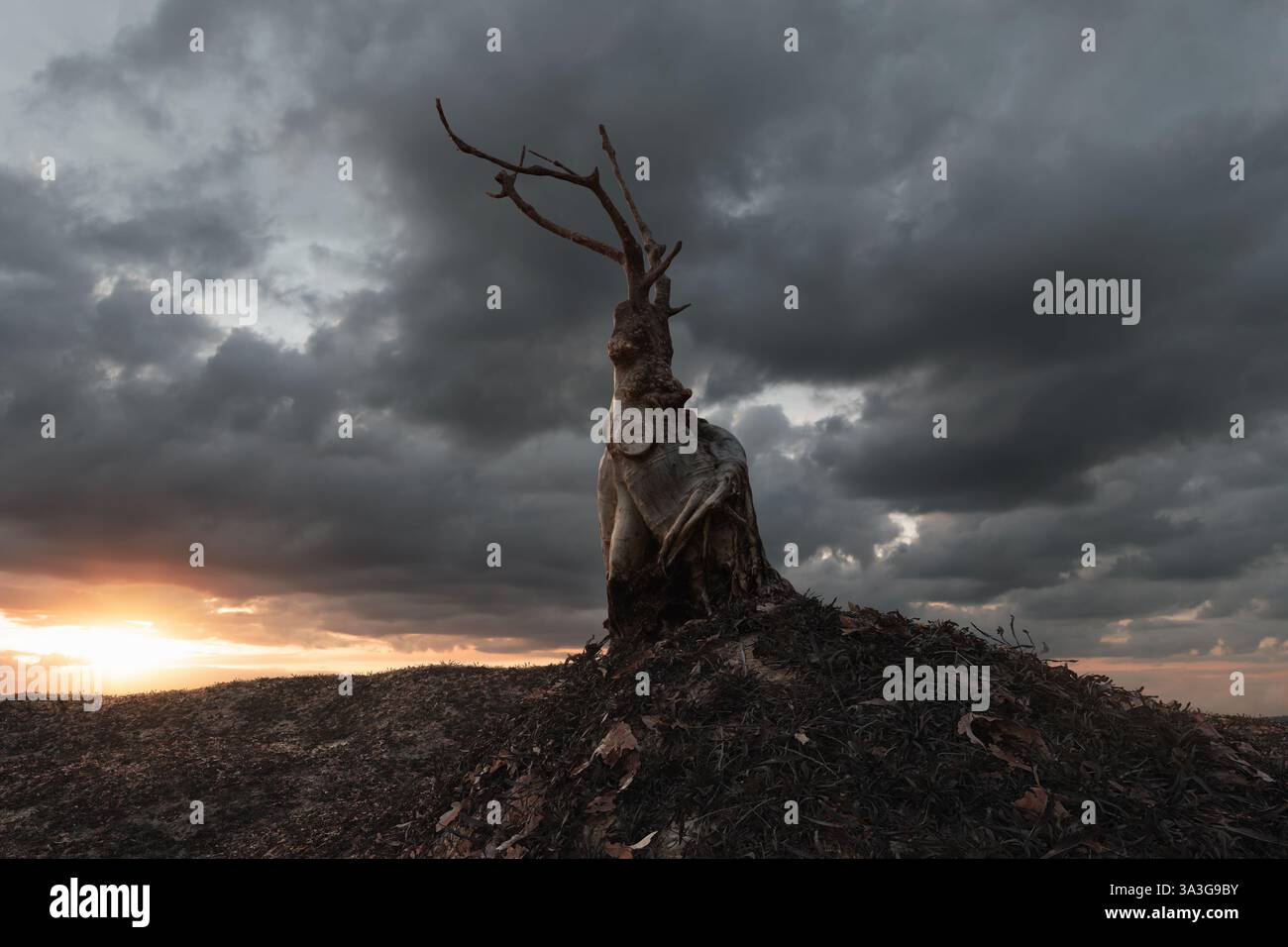 3D rendering of death tree on desiccated landscape Stock Photo - Alamy