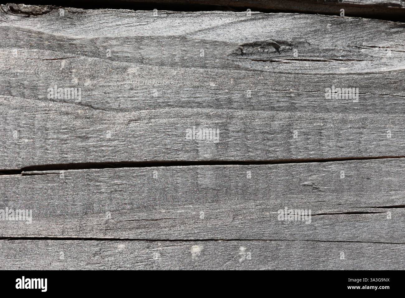Gray wood texture with grain Stock Photo - Alamy