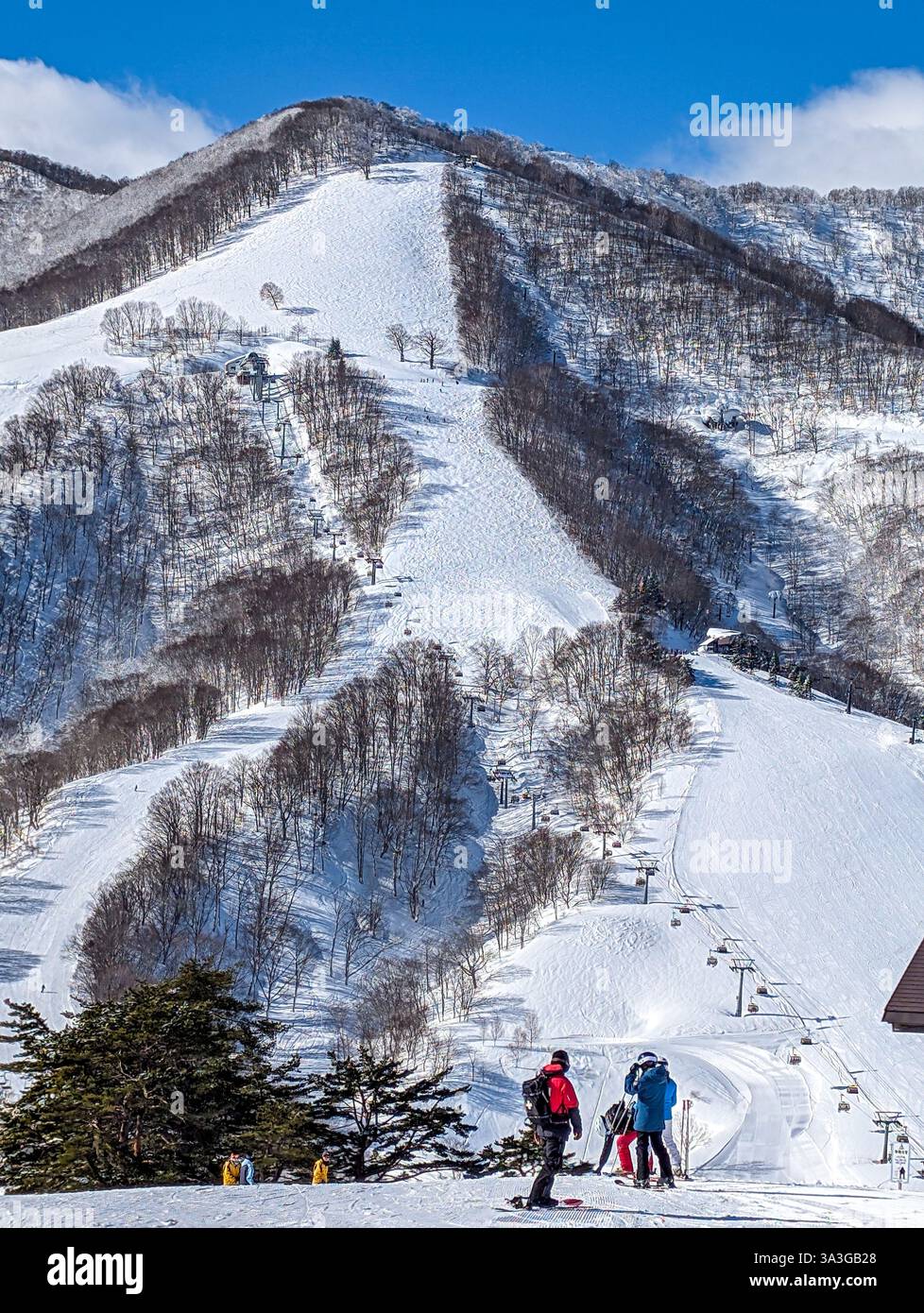 MADARAO,JAPAN - 02 25 2025: Crowds of skiers and snowboarders around ...
