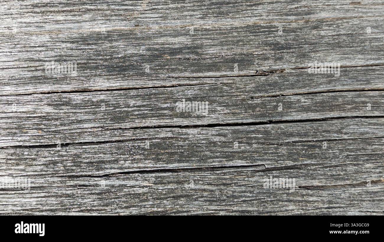 Gray wood texture with grain Stock Photo - Alamy