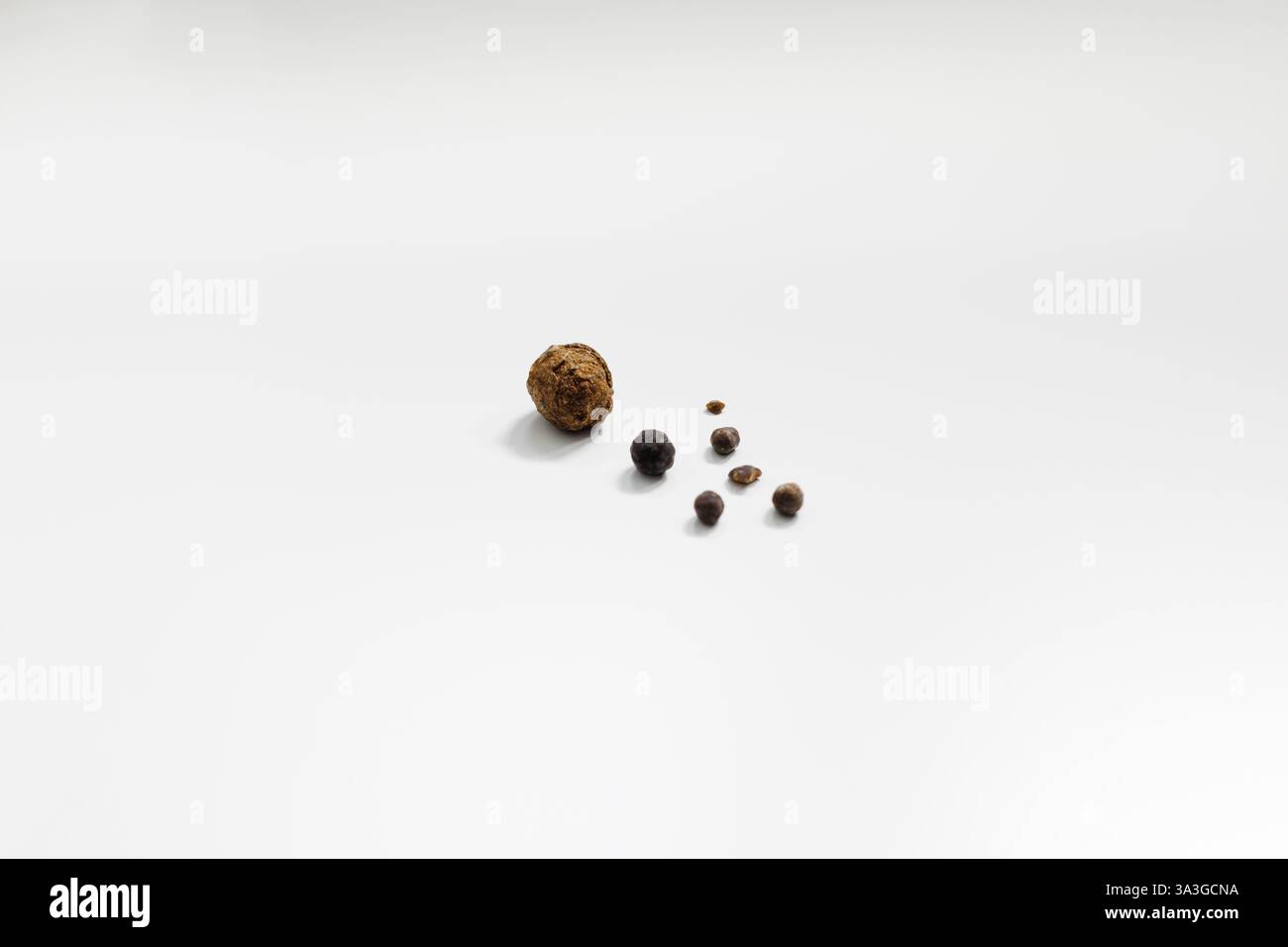 Gallstones hi-res stock photography and images - Alamy