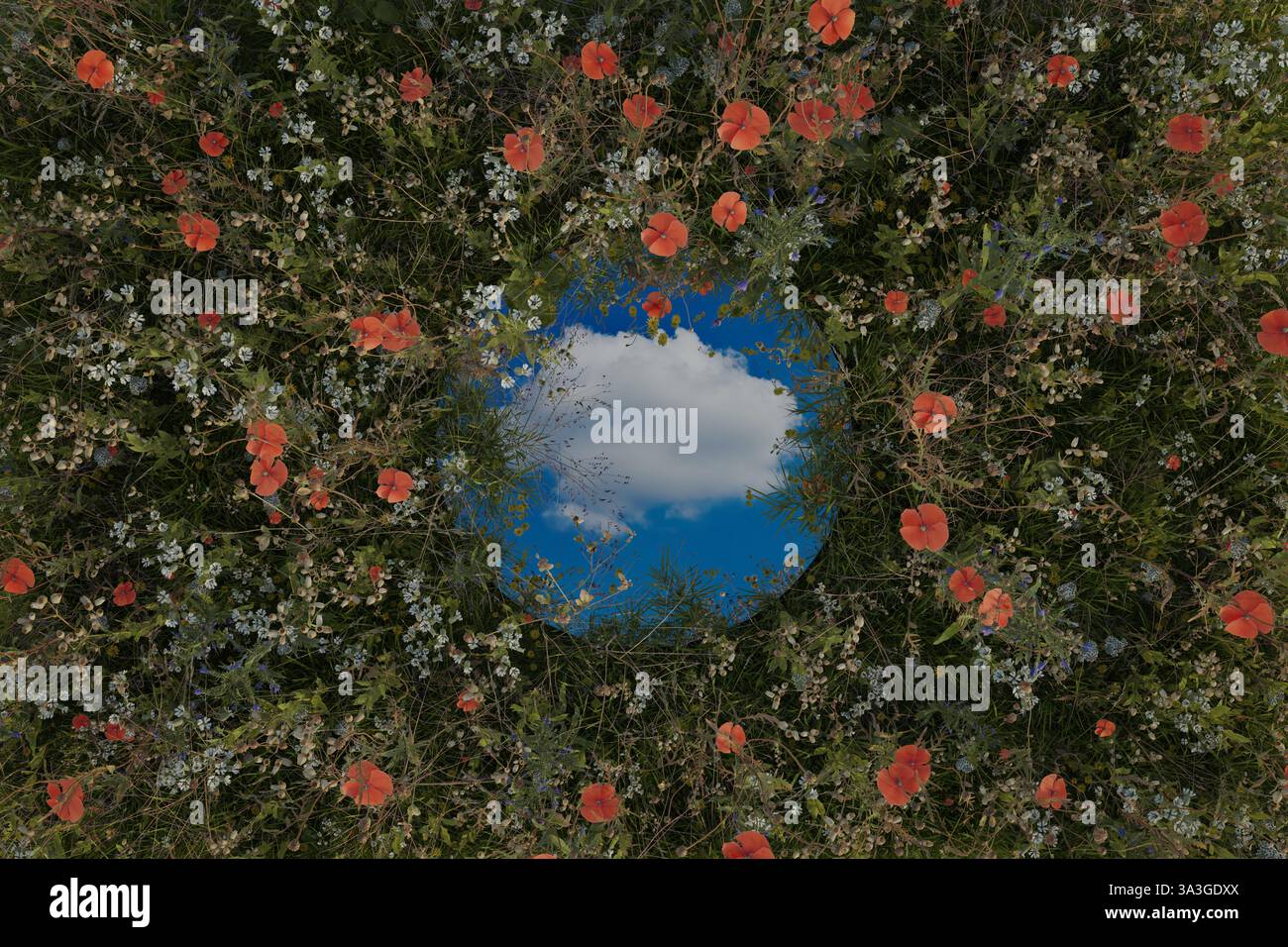 Circular mirror reflecting single white cloud and surrounded by spring ...