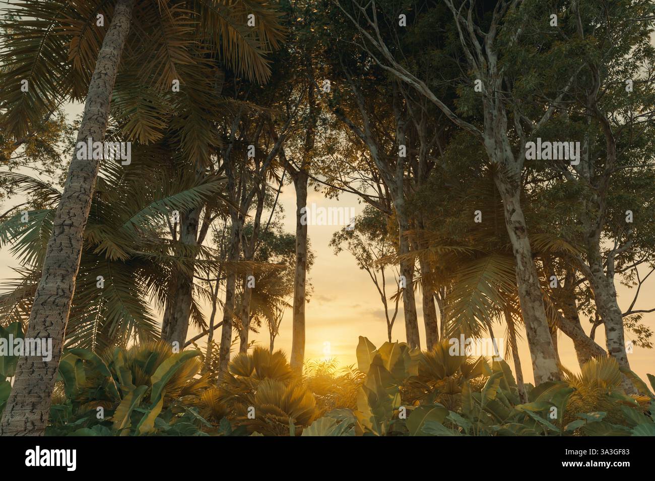 3d rendering tropical rainforest hi-res stock photography and images ...