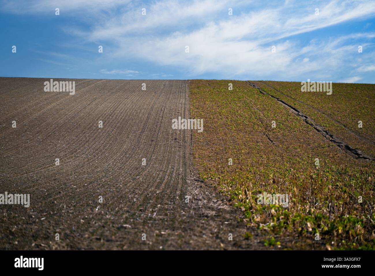 Farmland showing the cycle of planting. Tilled soil meets sprouting ...